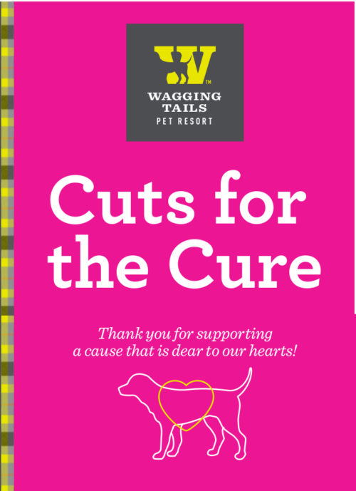 Think PINK this October! – Wagging Tails Pet Resort